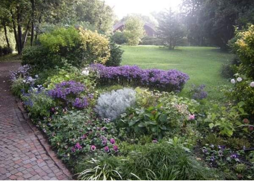 'Un po' uomo, un po' lama' sputa a terra in Villa Engelman e viene ...