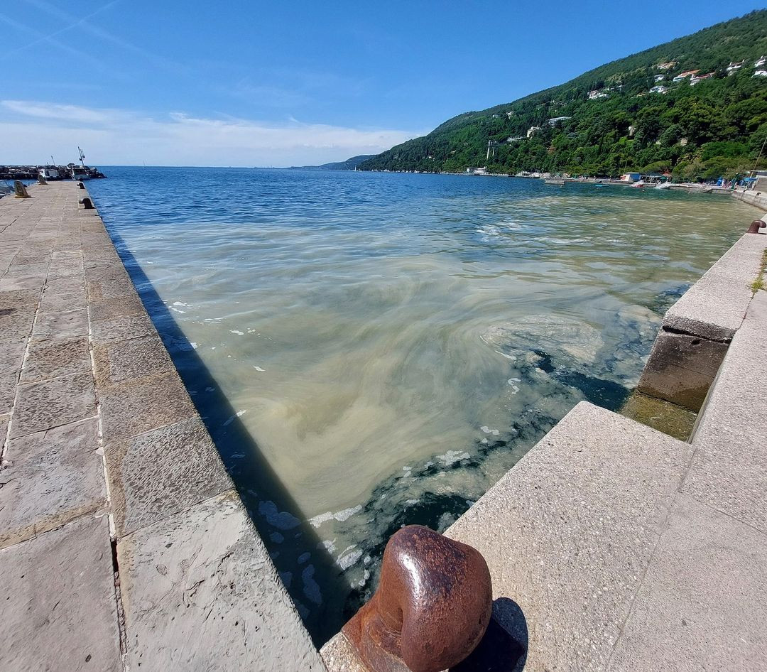 Le mucillagini sono tornate nel Golfo di Trieste (VIDEO)